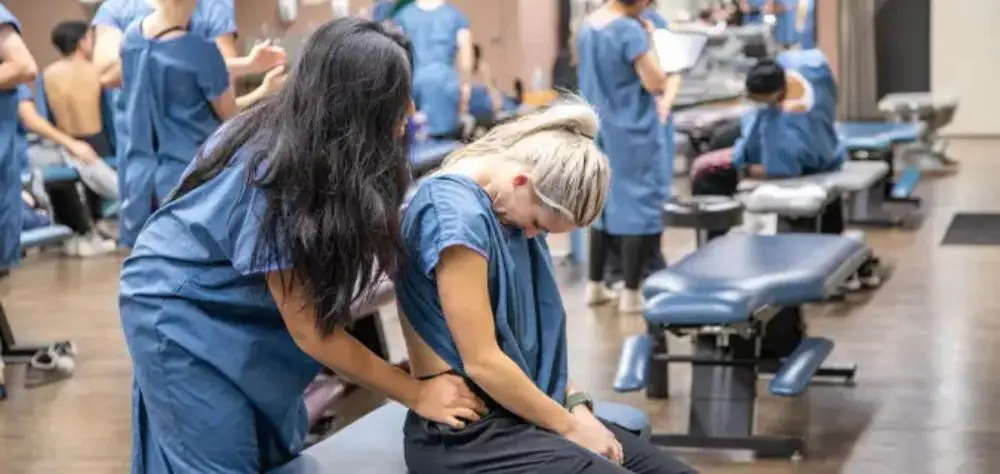 arizona chiropractic Archives - Southern California University of ...