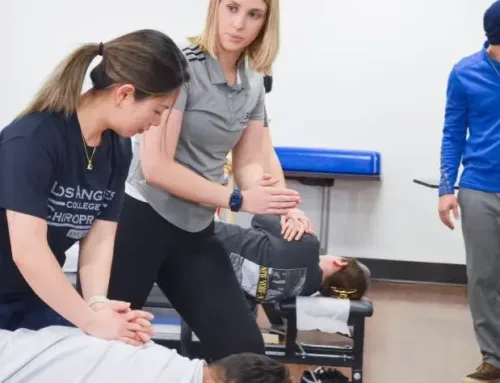 Chiropractic Schools in Arizona: Programs, Costs & Admissions